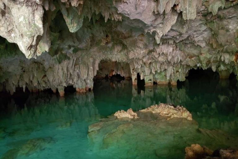 Mexico's Cenote Swimming: Hidden Underground Pools Await