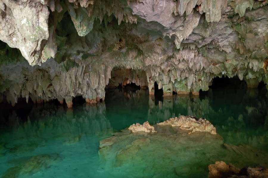 Mexico's Cenote Swimming: Hidden Underground Pools Await